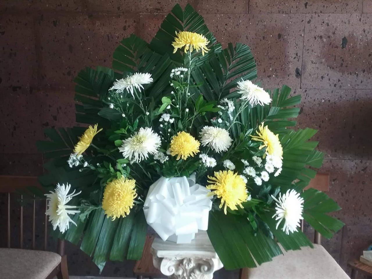 Maceta Codorniz Spider – Florería Paola